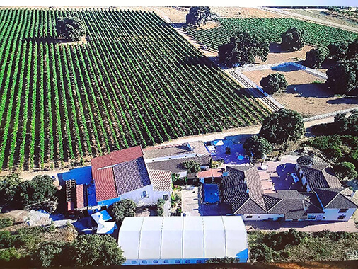 Rodríguez de Vera - Winebuyer.sk